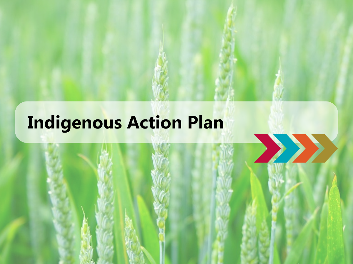 Advancing Reconciliation in Justice - Legal Aid Alberta